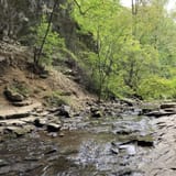 Buggytop Trail to Lost Cove Cave, Tennessee - 741 Reviews, Map | AllTrails