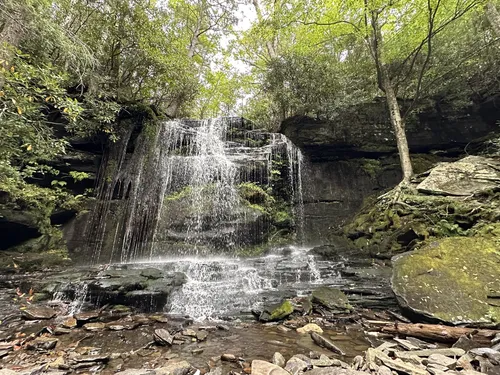2023 Best Fishing Trails in Neversink River Unique Area | AllTrails