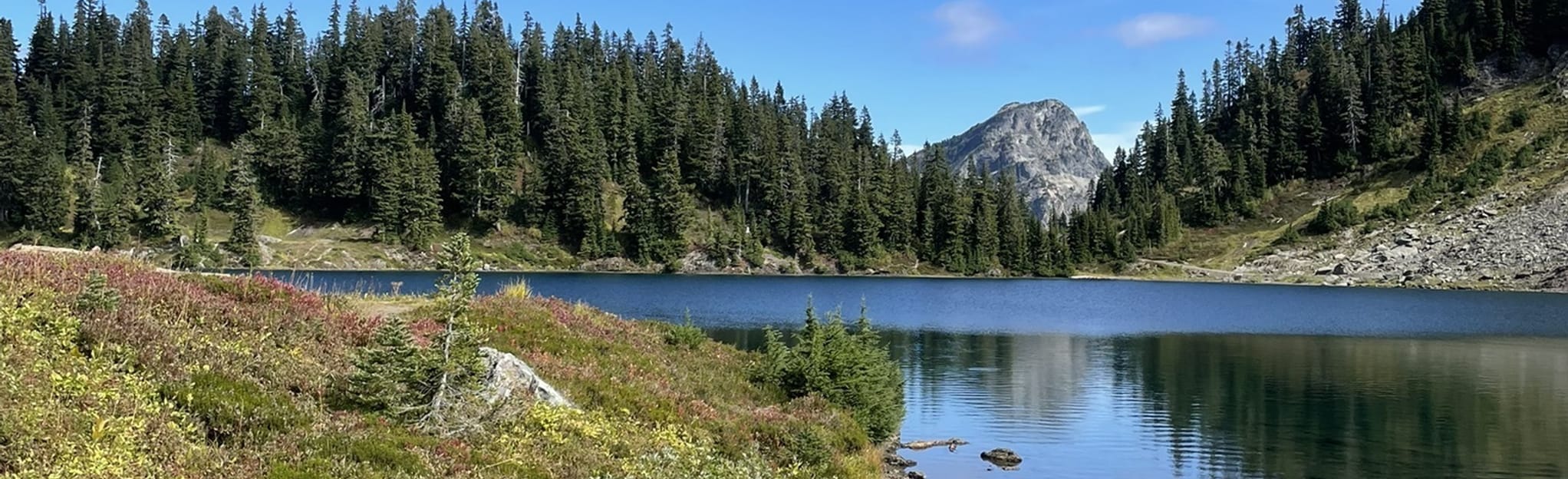 High Pass Trail, Washington - 116 Reviews, Map | AllTrails