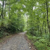 Stiles Falls, Virginia - 524 Reviews, Map | AllTrails