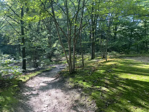 Best Hikes and Trails in P. J. Hoffmaster State Park | AllTrails