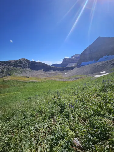 2023 Best Camping Trails in Mutual Dell | AllTrails