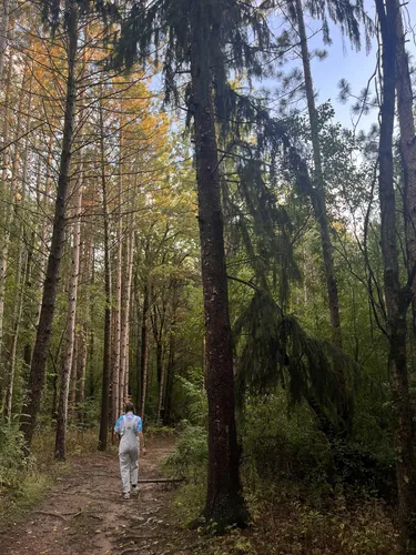 Best Hikes and Trails in Marengo Ridge Conservation Area | AllTrails