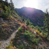 Flora Peak, British Columbia, Canada - 445 Reviews, Map | AllTrails