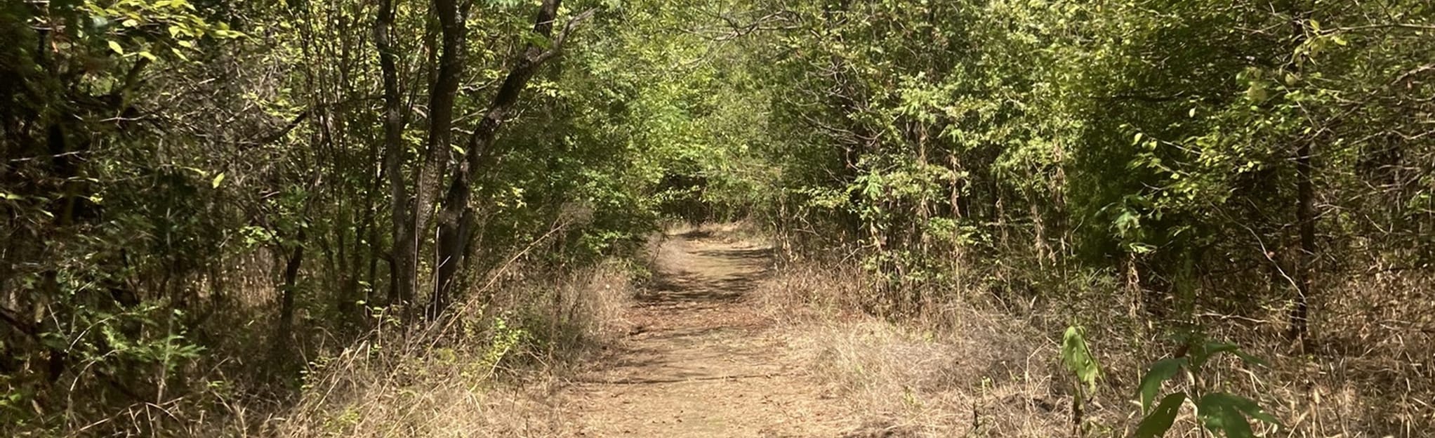 Loyd Park Loop Trail, Texas - 20 Reviews, Map | AllTrails