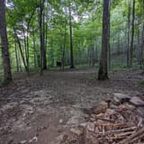 Shawnee State Park North Loop, Ohio - 204 Reviews, Map | AllTrails