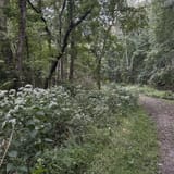 Mogadore Reservoir via Buckeye Trail, Ohio - 394 Reviews, Map | AllTrails