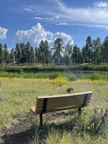 Best Hikes and Trails in Pinetop-Lakeside | AllTrails