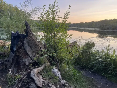 Best Hikes and Trails in Whitnall Park | AllTrails