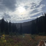 Crystal Mountain Loop, Washington - 621 Reviews, Map | AllTrails