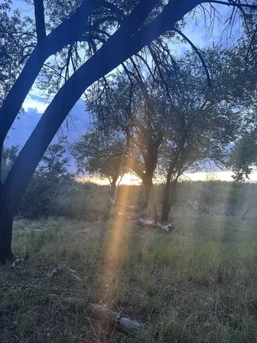 Best Hikes and Trails in Arrey | AllTrails