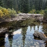 Spider Meadow via Phelps Creek Trail, Washington - 322 Reviews, Map ...