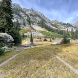 Spider Meadow via Phelps Creek Trail, Washington - 322 Reviews, Map ...