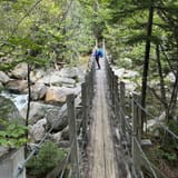 Great Gulf Trail, New Hampshire - 153 Reviews, Map | AllTrails