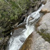 Great Gulf Trail, New Hampshire - 208 Reviews, Map | AllTrails