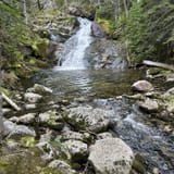 Great Gulf Trail, New Hampshire - 153 Reviews, Map | AllTrails