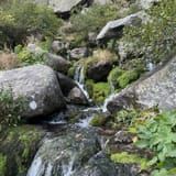 Great Gulf Trail, New Hampshire - 153 Reviews, Map | AllTrails