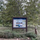 Jeffrey Open Space Trail, California - 1,522 Reviews, Map | AllTrails