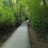 Brecknock County Park Dunbar Trail, Delaware - 277 Reviews, Map | AllTrails