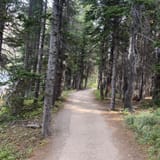 Swiftcurrent Nature Trail, Montana - 797 Reviews, Map | AllTrails