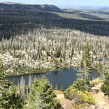 Lofty Lake Loop Trail, Utah - 1,798 Reviews, Map | AllTrails