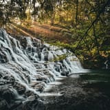 Rutledge Falls Trail, Tennessee - 507 Reviews, Map | AllTrails