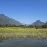 Widgeon Lake Trail, British Columbia, Canada - 101 Reviews, Map | AllTrails