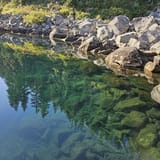 Widgeon Lake Trail, British Columbia, Canada - 101 Reviews, Map | AllTrails