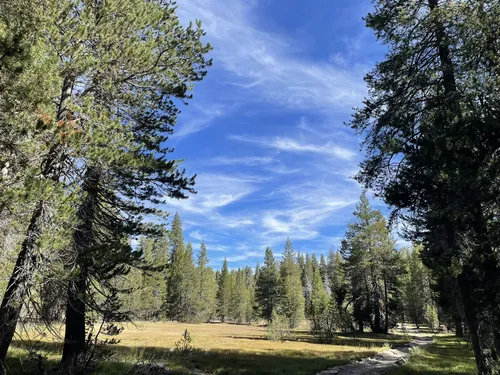 10 Best Backpacking Trails in Sierra National Forest | AllTrails