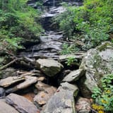 Hidden Falls Trail, South Carolina - 629 Reviews, Map | AllTrails