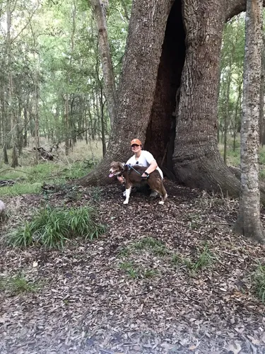 2023 Best Wildlife Trails in Rosharon | AllTrails