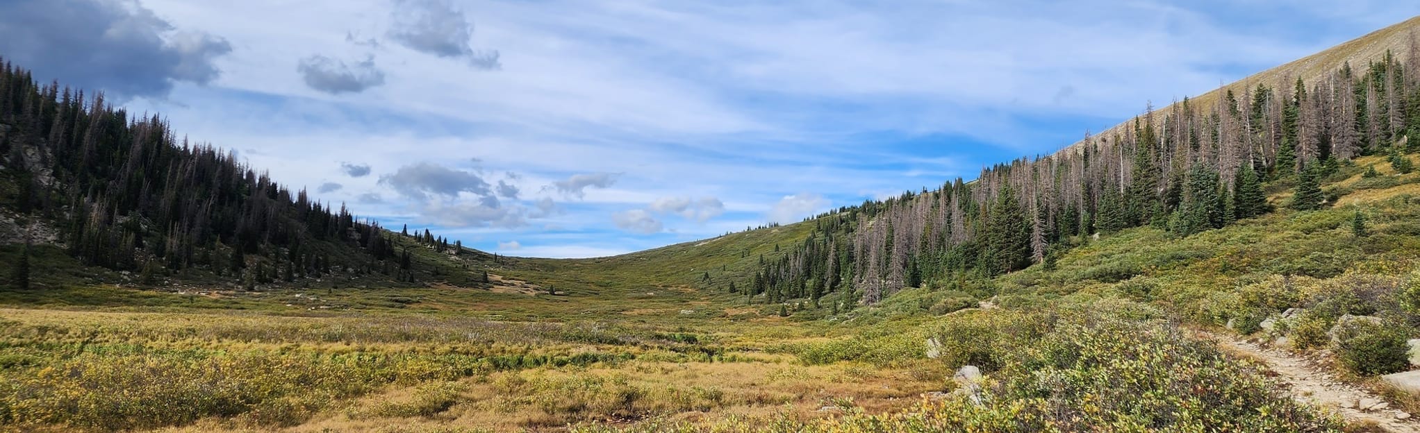 Alpine Tunnel and Williams Pass, Colorado - 20 Reviews, Map | AllTrails