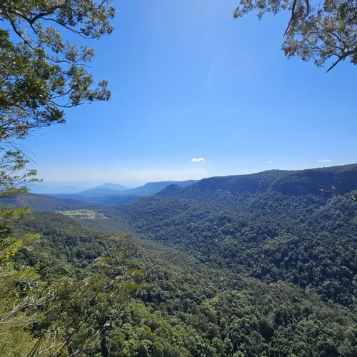 10 Best Hikes and Trails in Border Ranges National Park | AllTrails