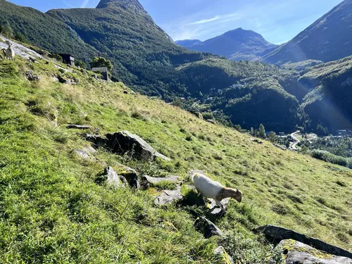 10 Best Trails and Hikes in Geiranger | AllTrails
