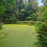 Oberkircher Brennersteig, Baden-Wuerttemberg, Germany - 48 Reviews, Map ...