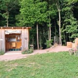 Oberkircher Brennersteig, Baden-Wuerttemberg, Germany - 59 Reviews, Map ...