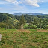 Oberkircher Brennersteig, Baden-Wuerttemberg, Germany - 85 Reviews, Map ...