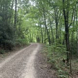 Hard Times Loop, North Carolina - 1,208 Reviews, Map | AllTrails