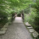 Hard Times Loop, North Carolina - 1,178 Reviews, Map | AllTrails