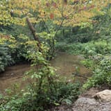 Hard Times Loop, North Carolina - 1,208 Reviews, Map | AllTrails