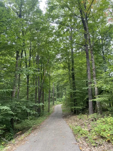Best Hikes and Trails in Morgan Monroe State Forest | AllTrails