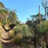 Mount Cordeaux Track, Queensland, Australia - 486 Reviews, Map | AllTrails