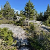 Little Jackson Mountain Trail, Maine - 296 Reviews, Map | AllTrails