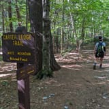 Middle Sister Trail, New Hampshire - 86 Reviews, Map | AllTrails