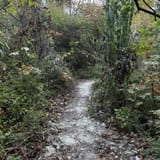 Spring Creek Nature Area Trail, Texas - 972 Reviews, Map | AllTrails