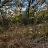 Spring Creek Nature Area Trail, Texas - 1,181 Reviews, Map | AllTrails