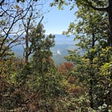 Kennedy Peak Loop, Virginia - 546 Reviews, Map | AllTrails