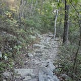 Kennedy Peak Loop, Virginia - 546 Reviews, Map | AllTrails