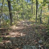 Kennedy Peak Loop, Virginia - 546 Reviews, Map | AllTrails