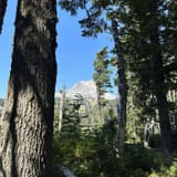 Umbrella and Sahale Falls Loop, Oregon - 1,788 Reviews, Map | AllTrails